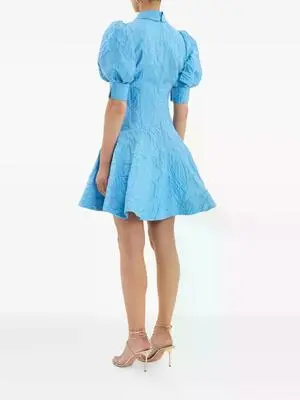 Rebecca Vallance Puff-sleeve Aegir Mini Dress