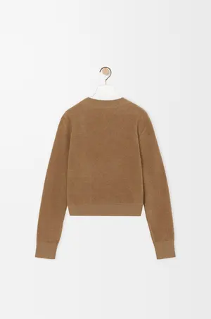 Loewe Wool Sweater - Camel