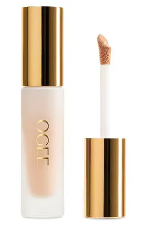 OGEE Complexion Perfecting Concealer Alder