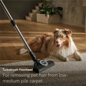 MIELE M1 Cat & Dog Canister Vacuum