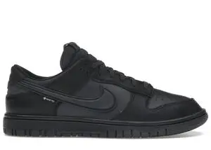 Nike Dunk Low Gore-tex Sneakers