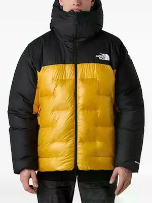 The North Face Hooded Zip Jacket