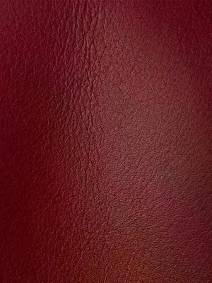 Prada Etude Shoulder Bag