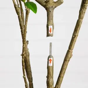 NEARLY NATURAL 6' Artificial Minimalist Japanese Pieris Tree