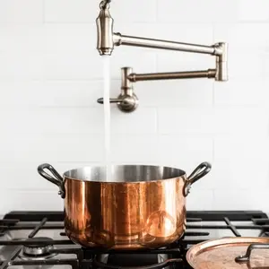 DE BUYER 5.7 Quart Covered Stew Pot