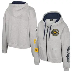 COLOSSEUM Michigan Wolverines Alfie Full-zip Hoodie Jacket - Gray