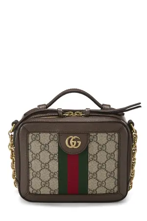 Ophidia Gg Supreme Mini Bags