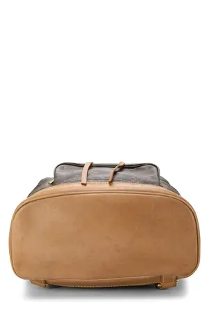 LOUIS VUITTON Monogram Montsouris Backpack - Brown
