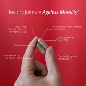QUALIA Joint Health 42 Capsules