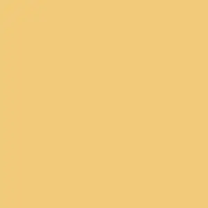 Anni Lu Gold-plated Pearly Drop Necklace - Ivory