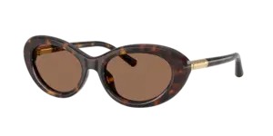 Dolce & Gabbana Full Rim Sunglasses - Dark Brown