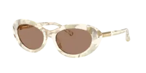 Dolce & Gabbana Full Rim Sunglasses - Solid Brown