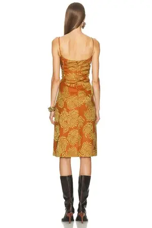 Dries Van Noten Dirios Dress