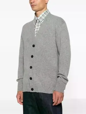 AMARANTO V-neck Cardigan