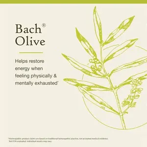 NELSON BACH Bach Olive 20 Milliliters