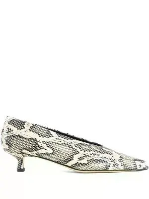 AeydĒ Pointed Clara Pumps