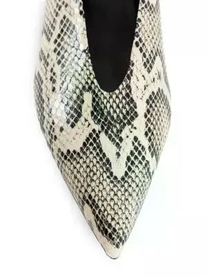 AeydĒ Pointed Clara Pumps