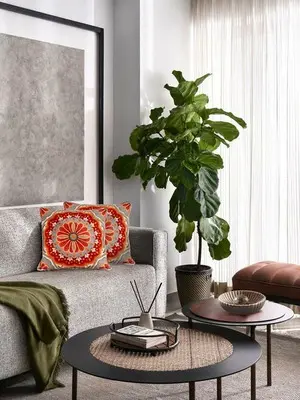GAURI KOHLI Holi Throw Pillow Cover - Multicolored