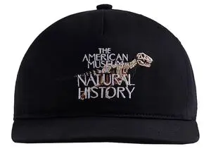 Kith Amnh Fossil Cap - Black
