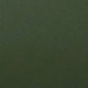 Ralph Lauren Cotton Rl624 Pillowcase Pair - Green