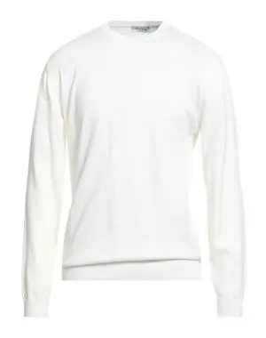 Wool & Co Crewneck Sweaters For Men