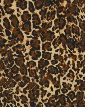 Isabel Marant Étoile Teysa Shirt - Leopard