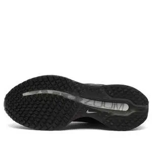 Nike Pegasus Premium Sneaker - Black/silver