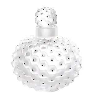 Lalique Cactus Perfume Bottle - Clear