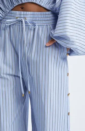 Zimmermann Rebellion Stripe Poplin Wide Leg Button Pants - Hydrangea Stripe