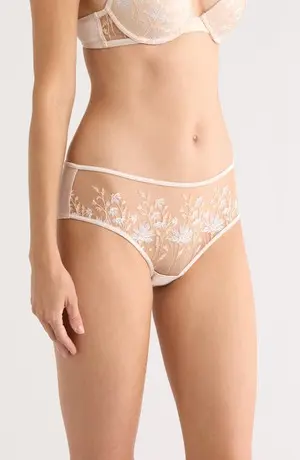 ETAM Champetre Embroidered Satin & Mesh Briefs