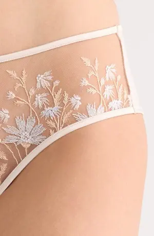 ETAM Champetre Embroidered Satin & Mesh Briefs