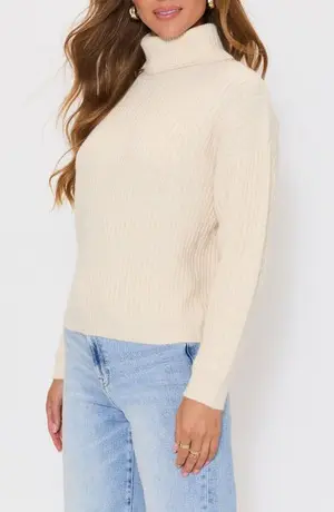 VICI Ribbed Turtleneck Sweater