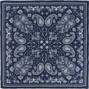 LOST PATTERN "paisley" Silk Bandana Scarf