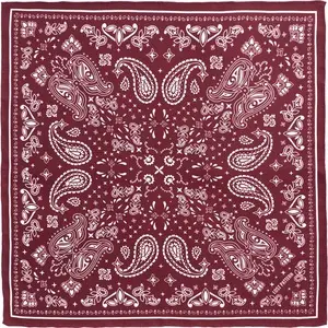 LOST PATTERN "paisley" Silk Bandana Scarf