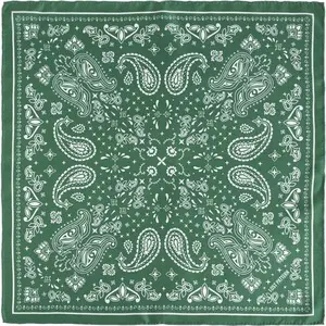 Lost Pattern Bandana Scarves