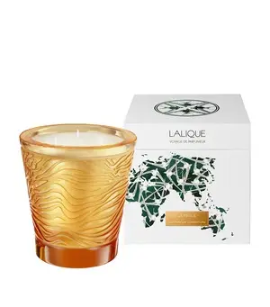 Lalique Jungle Voyage Scented Candle - Orange
