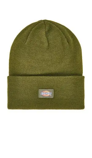 Dickies Tall Cuff Beanie - Green