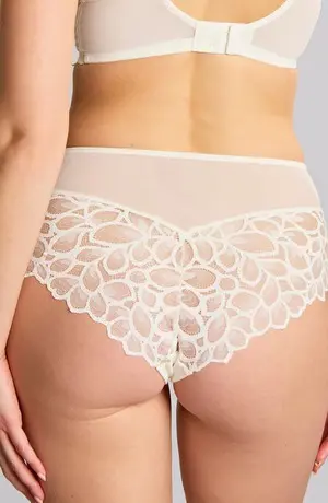 Panache Allure Lace Cheeky Briefs - Ivory