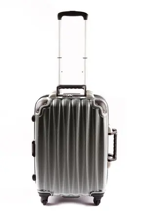 Vingardevalise Silver Tone Bags For Women
