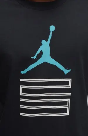 JORDAN Air 11 Gamma Graphic Long Sleeve T-shirt