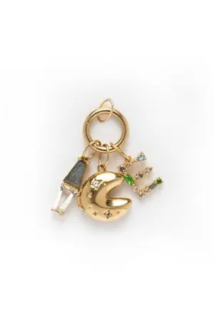 LOCAL ECLECTIC Solid Gold Charm Clip