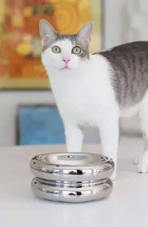CATENARY Halo Elevated Cat Bowl