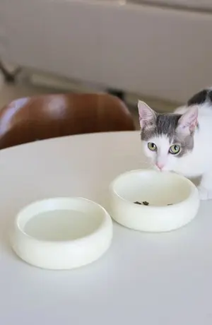 CATENARY Halo Cat Bowl