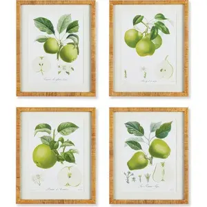 NAPA HOME & GARDEN Fruit Study Set Of 4 - Green