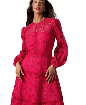 Coast Lace Panelled Long Sleeve Dress