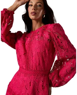 Coast Lace Panelled Long Sleeve Dress
