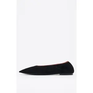 Pointed Toe Flats