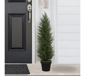 NORTHLIGHT 3' Artificial Pine Arborvitae Tree I Pot Unlit