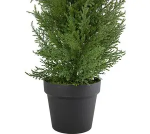 NORTHLIGHT 3' Artificial Pine Arborvitae Tree I Pot Unlit
