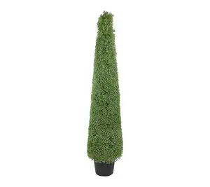 NORTHLIGHT 6' Boxwood Cone Topiary Tree In Roun Pot - One-color